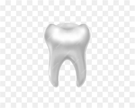 Premium Vector Realistic Isolated Tooth 3d Realistic Tooth Realistic