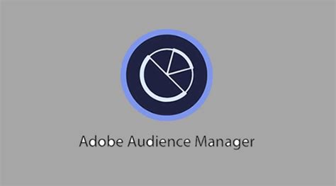 The Best Adobe Audience Manager