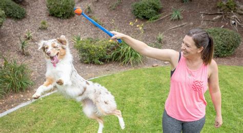 Up To 75 Off Chuckit Dog Toys Southern Savers