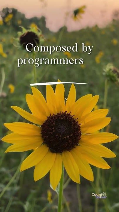 Coding Motivation Daily Quotes 💭💬shorts Coding Motivation Motivationalquotes Development