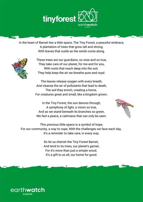 Tinyforest Emily Pennifold