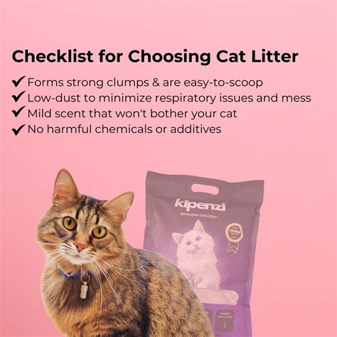 The Purr Fect Solution Automatic Cat Litter Boxes And Bentonite Cat