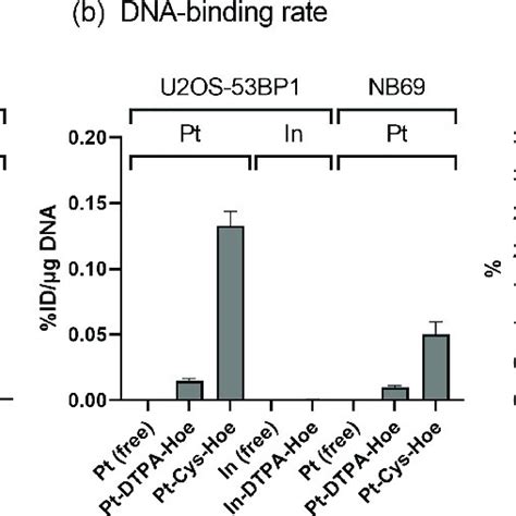 A Cellular Fraction Id B Dna Binding Rate Idμg Dna And C