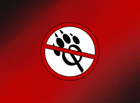 Anti Furry Wallpapers Top Free Anti Furry Backgrounds Wallpaperaccess