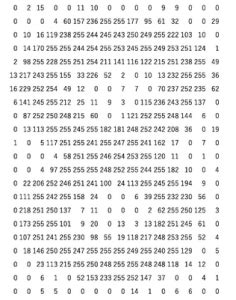 Feature Extraction Using Python Image Feature Extraction