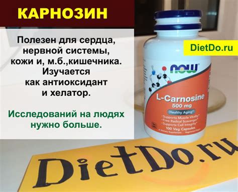 Карнозин — инструкция по применению, цена, отзывы и аналоги таблеток
