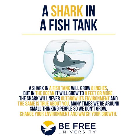 Mindsetmatters Personalgrowth Dr Rasheda Jackson