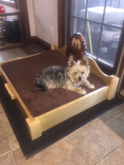 Doggy Bed Doggy Dog Bed Animals