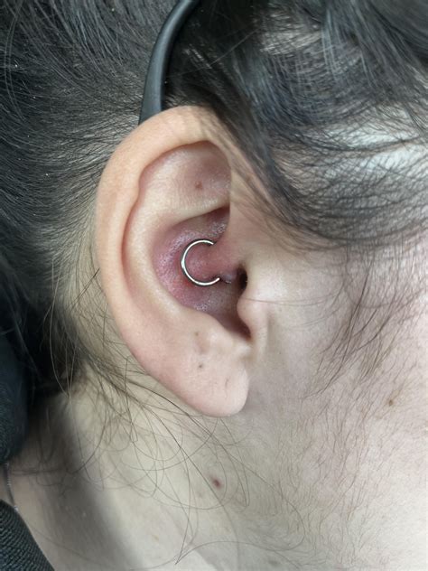 Daith Placement Rpiercingadvice Daith Placement Rpiercingadvice