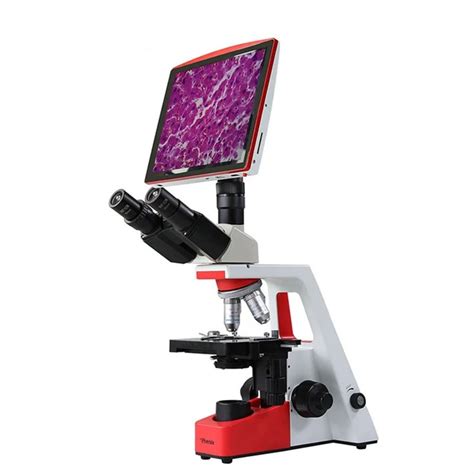 China Biology Light Microscope Manufacturers Suppliers Biology Light