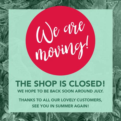 Cutting Boxes Plants We Love Aroids