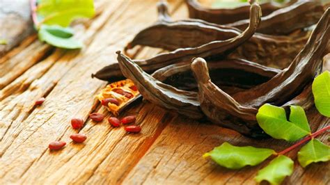 تجربتي مع الخوا جوا للشعر مدونة صدى الامة