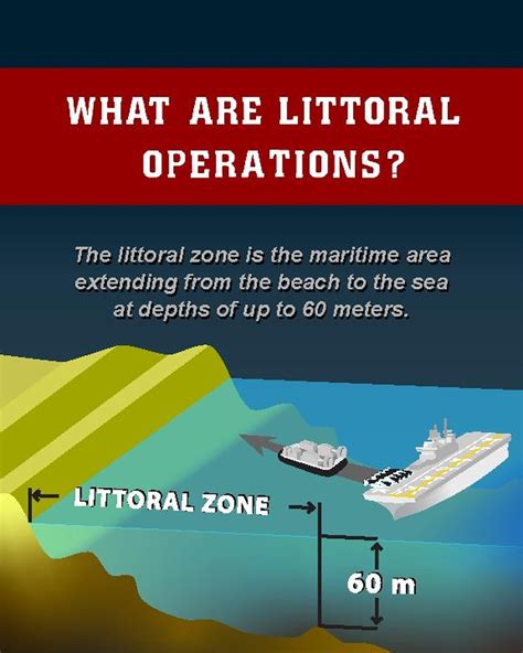 What Does Littoral Zone Mean At Jill Deleon Blog
