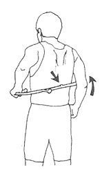 Exercises Theracane