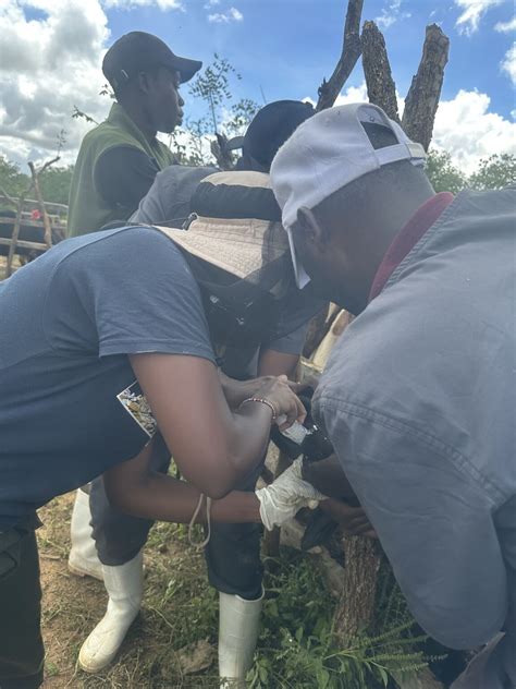 Kibwezi Gave Us Sunshine Dust And Purpose Faith Joy Wangari