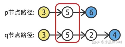 二叉树中两节点的最近公共祖先 leetcode 236 知乎