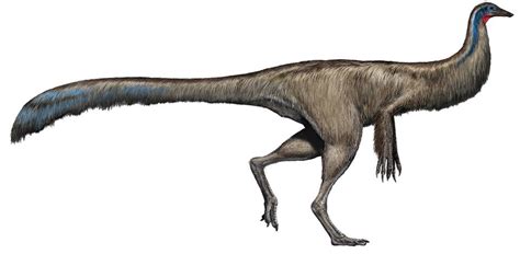 Species New To Science Paleontology Ichnotaxa • 2016 Crouching