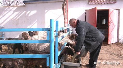 产业兴旺促发展 家庭养殖助振兴 知乎