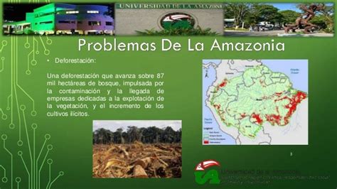 Problemas De La Amazonia