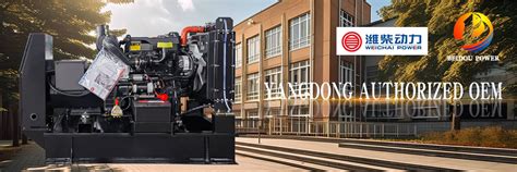 73kva 58kw Yangdong Diesel Generator Set