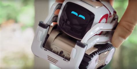 Top 5 Alternatives To Vector Robot Personal Robots