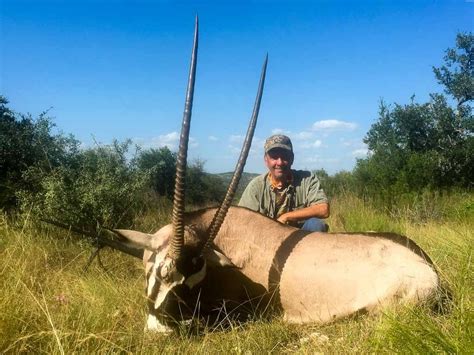 Gemsbok Hunting 60 Species To Hunt 18000 Acres In Texas Ox Ranch
