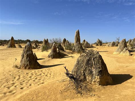 Pinnacles Desert Wanambung National Parkperth Tourist Attraction