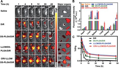 Biodistribution And Circulation Lifetime Of Different Formulations In