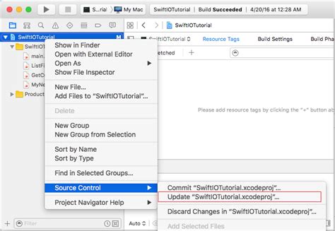 Programming For Team Using Xcode And Svn