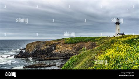 Panoramic Landscape Yaquina Head Outstanding Natural Area With Its