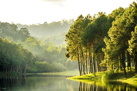 Nature Photos