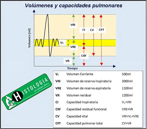 HistologÍa Un Enfoque Clínico Septiembre 2020
