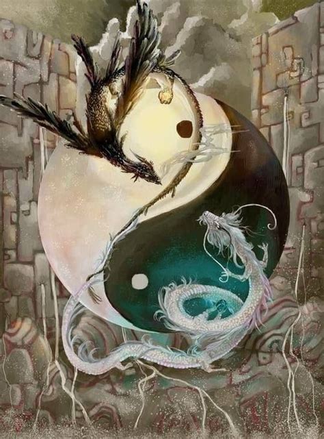 Twitter Wolvesdragons Yin Yang Art Dragon Pictures Dragon Artwork