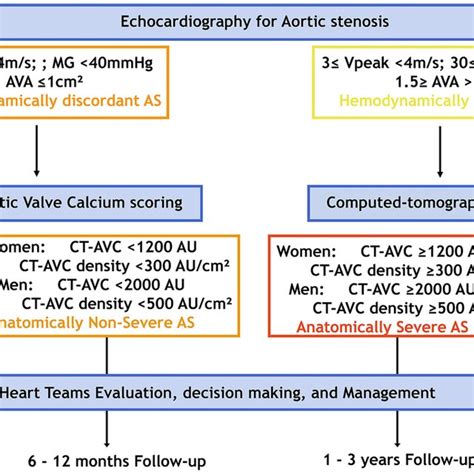 Algorithm For The Use Of Ct Aortic Valve Calcium In As Patients