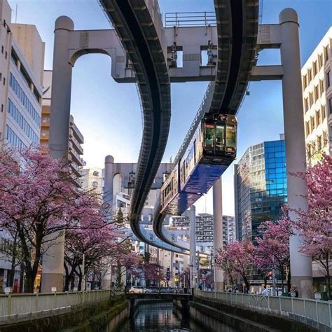 私は日本が大好きです。 私は日本が大好きです。 Added A New Photo