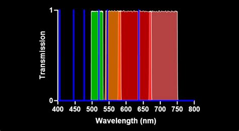 Assay Development Services Ion Biosciences