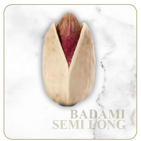 Badami Semi Long Yfe Nuts