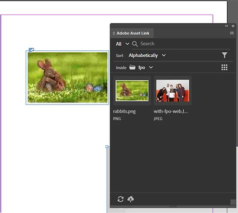 Manage Assets Using Adobe Asset Link