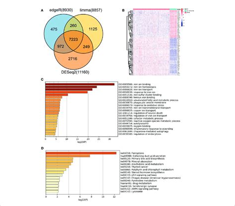 Identification And Functional Enrichment Analysis Of Dysregulated