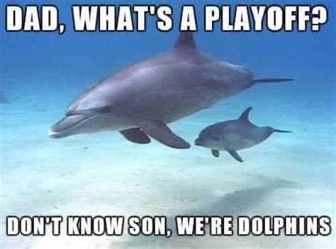 Miami Dolphins Funny Memes Funny Memes Fun