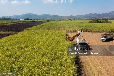 Corn Field Fertilizer Photos And Premium High Res Pictures Getty Images