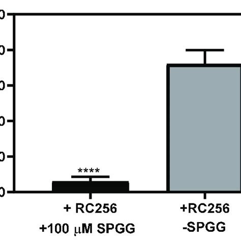 Hcmv Mediated Foci Formation Using Plaque Reduction Assay In Presence Download Scientific