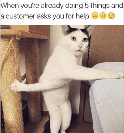 Call Center Cat Meme