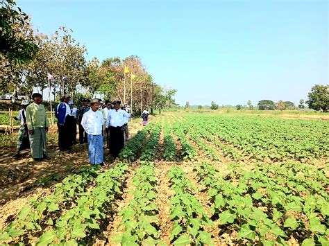 ဧရာဝတီတိုင်းဒေသကြီး အစိုးရအဖွဲ့ဝန်ကြီးချုပ်နှင့်အဖွဲ့ဝင်များ သာပေါင်းမြို့နယ်၊ရေကျနောက်စိုက် ဆင