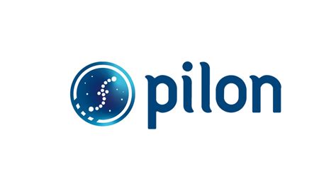 Pilon Raises 52 Million In Seed Round Financial It