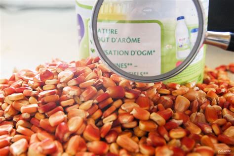 Gmos Ngts Consumers Want A Choice Infogm