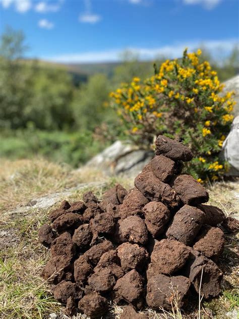 Bagged Peat 20kg Hearth