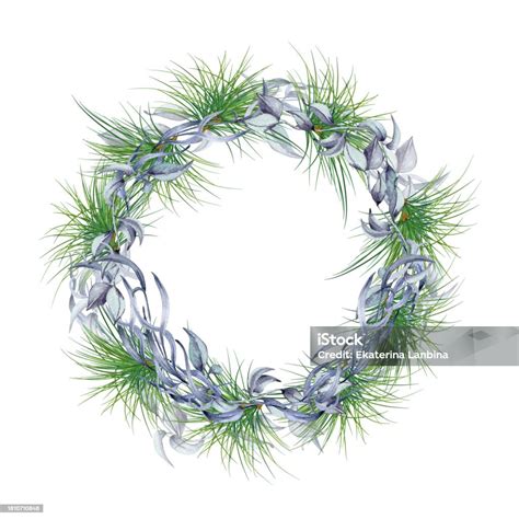 소나무 가지와 푸른 나뭇잎의 프레임 디지털 일러스트레이션 전나무는 원형 프레임 형태로 가지를 뻗습니다 흰색에 고립된 가문비나무 화환 디자인 크리스마스 초대장 결혼식을 위한
