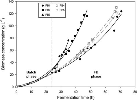 A Biomass Time Profile Of The Fed Batch Cultures Performed Experiment