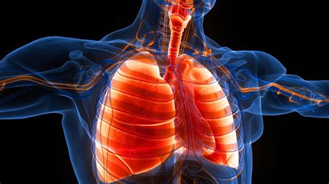 Veronas First In Class Copd Drug ‘could Transform Market Pharmaphorum